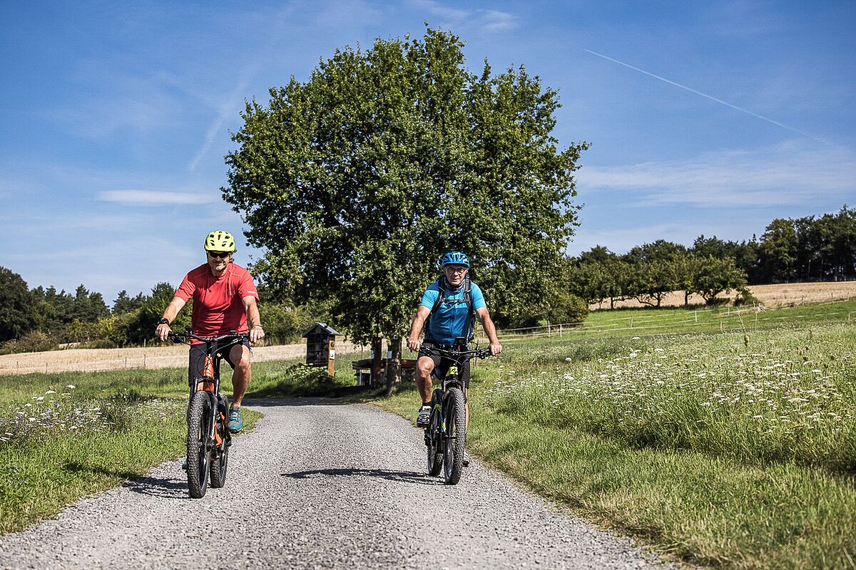 Dois ciclistas em um caminho de cascalho, com uma grande árvore ao fundo.
