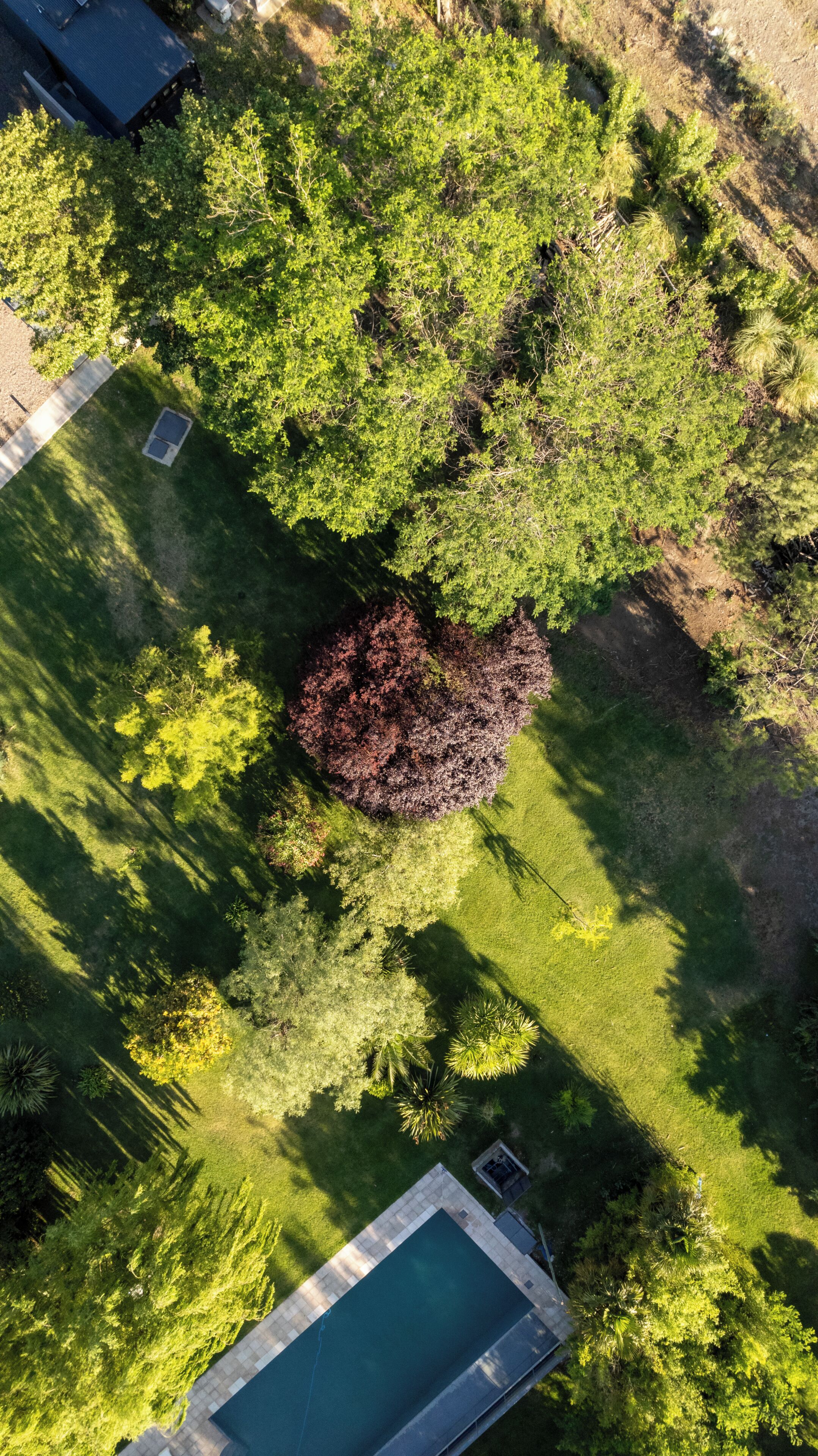 Vista aérea de um bairro residencial com piscina, árvores e um caminho pavimentado.