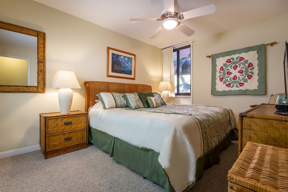 Ground Floor Convenience-beautiful Ocean/garden Views-ac-meticulous Cleaning - Maui, HI