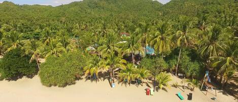 Uma praia com palmeiras e montanhas ao fundo.