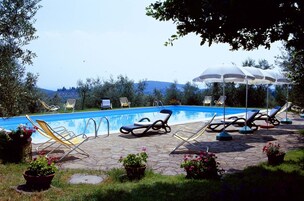Piscina com espreguiçadeiras e guarda-sóis, cercada por vasos de plantas e um caminho de pedra.