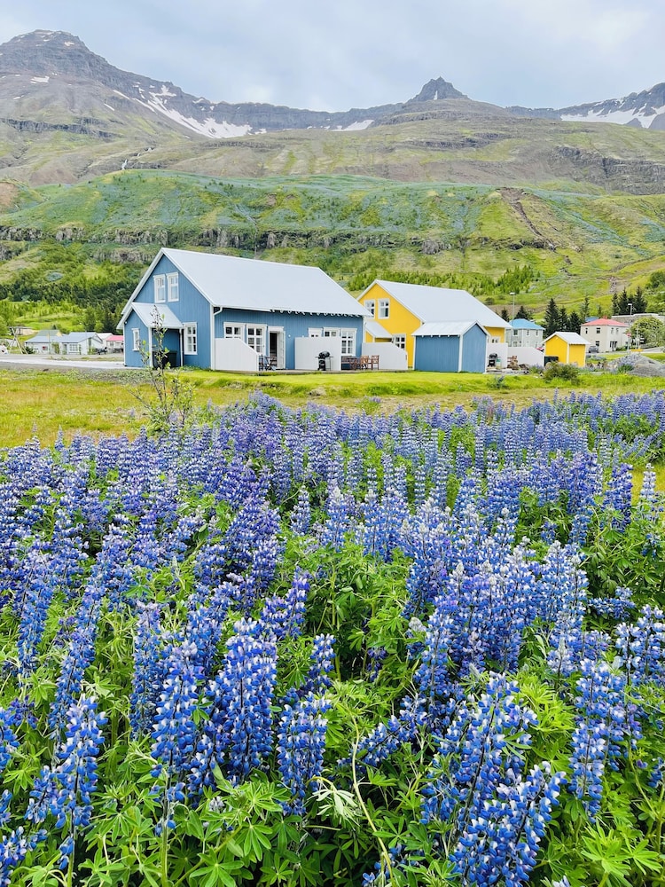 Lonsleira Apartments - Island