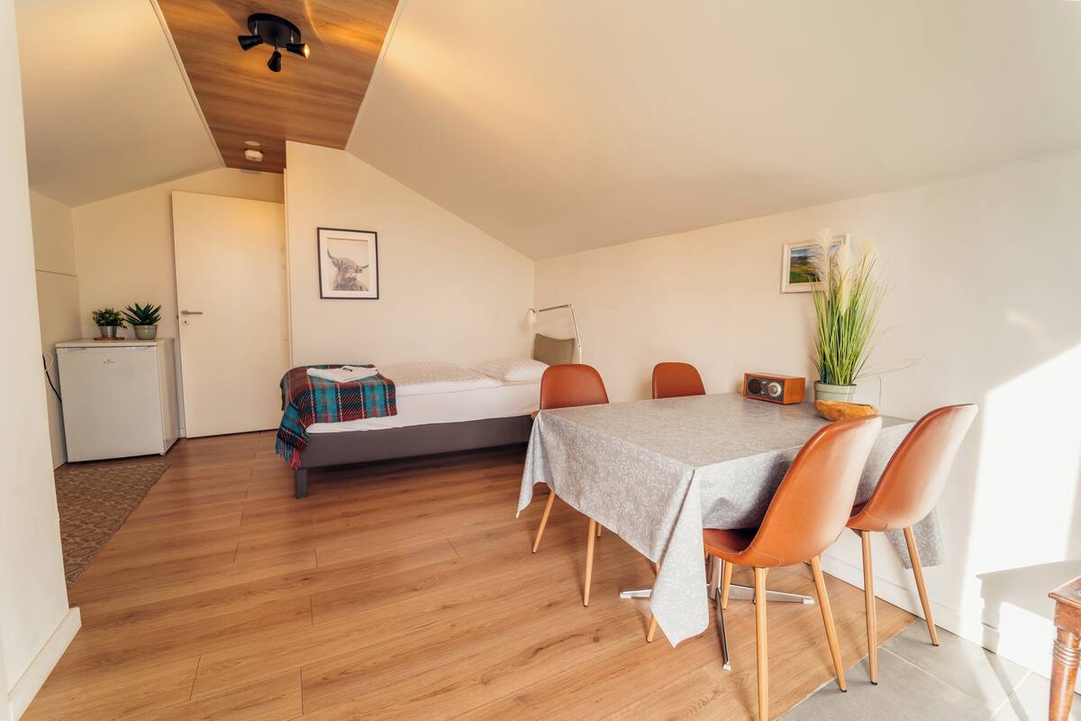 Quarto compacto com cama, mesa de jantar e cadeiras, pequena cozinha e luminária no teto.