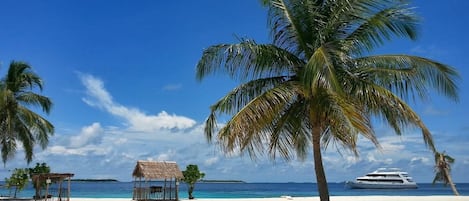 Na praia, prática de mergulho autônomo