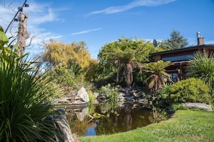 Um jardim com lago, pedras e diversas plantas.