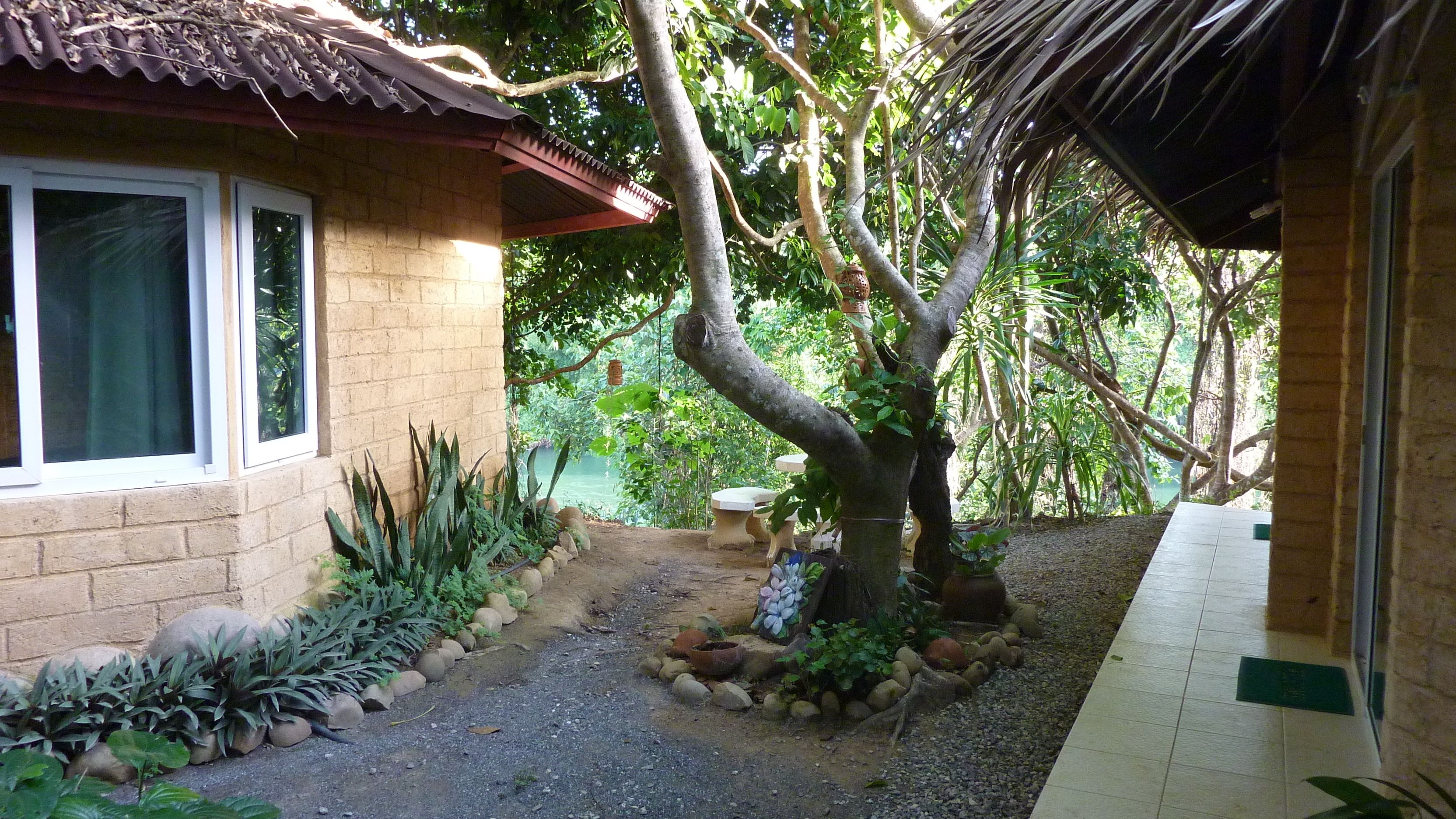 Uma casa com um pátio de azulejos, um pequeno jardim com pedras e plantas, e uma árvore no centro.
