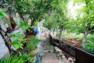 Área da propriedade