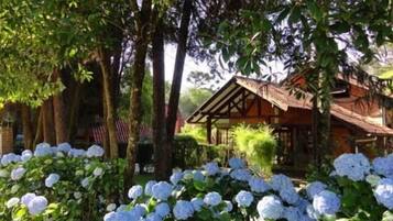 Jardim