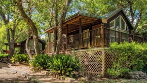 Uma cabana com um deck de madeira, cercada por árvores e plantas.