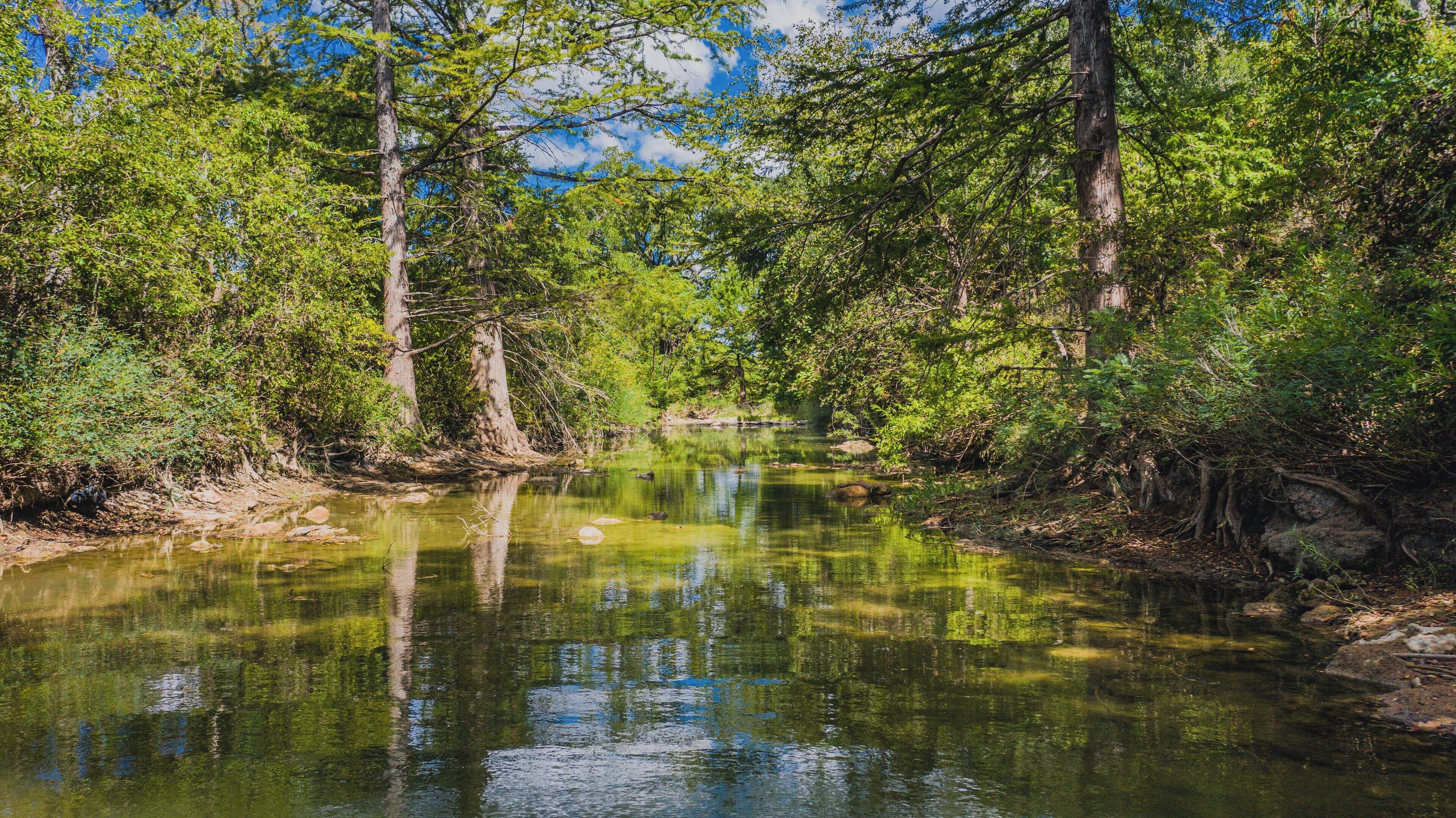 Um rio calmo rodeado por vegetação densa e árvores.