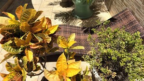 Pátio com vasos de plantas, piso de azulejos e parede de tijolos.
