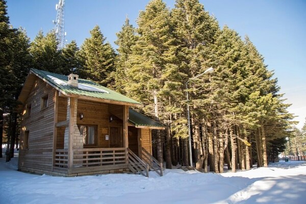 Uludag Orman Koskleri - Osmangazi