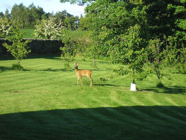 Balhousie Farm - East Neuk