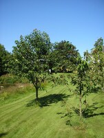Jardim