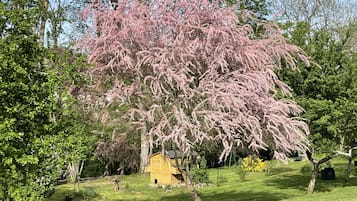 Vista para o jardim