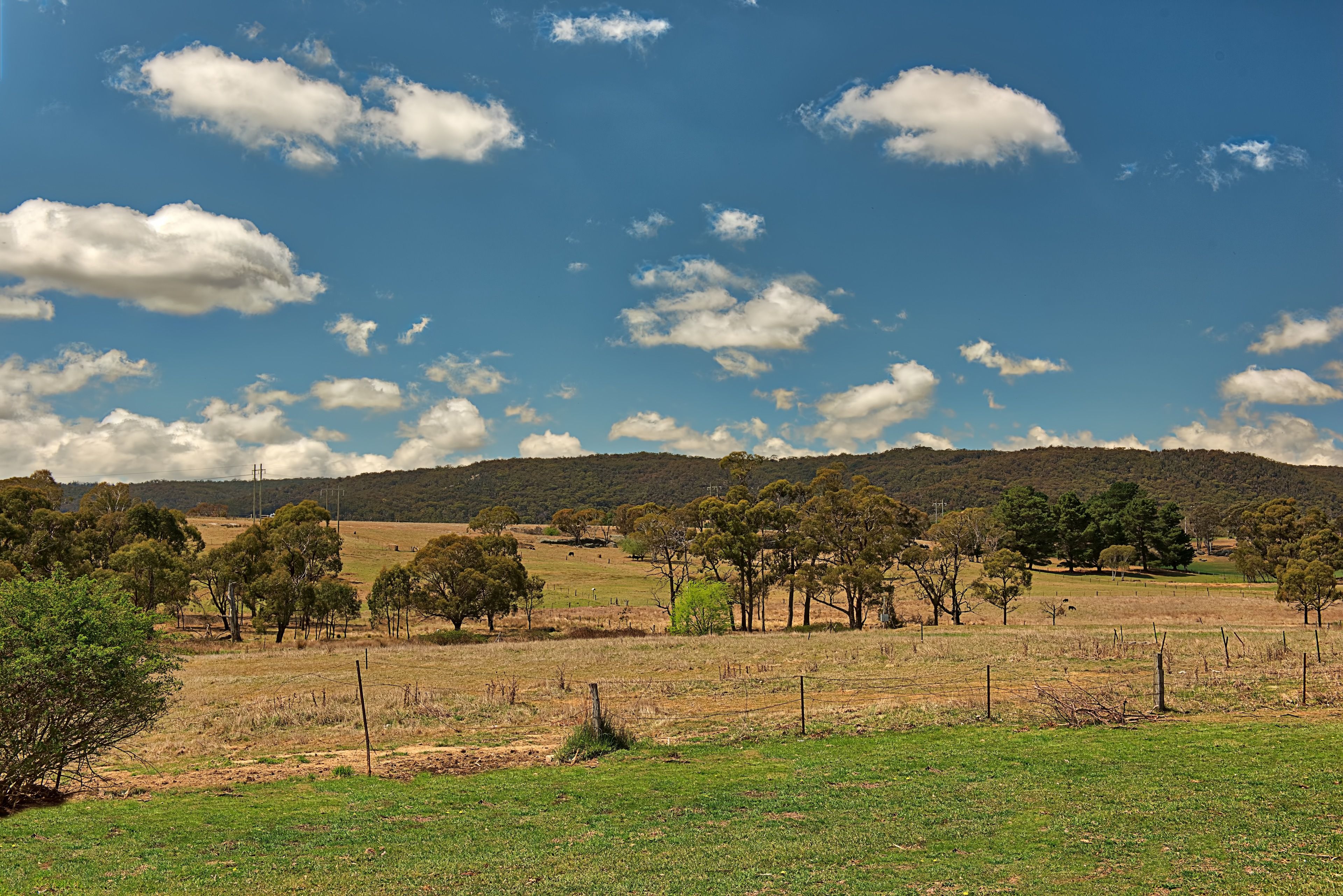 Paisagem rural com campos abertos, árvores esparsas e uma colina ao longe.