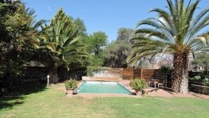 Quintal com piscina, palmeiras e cerca de madeira.
