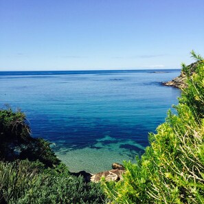 Paisagem costeira com mar azul cristalino, litoral rochoso e vegetação exuberante.