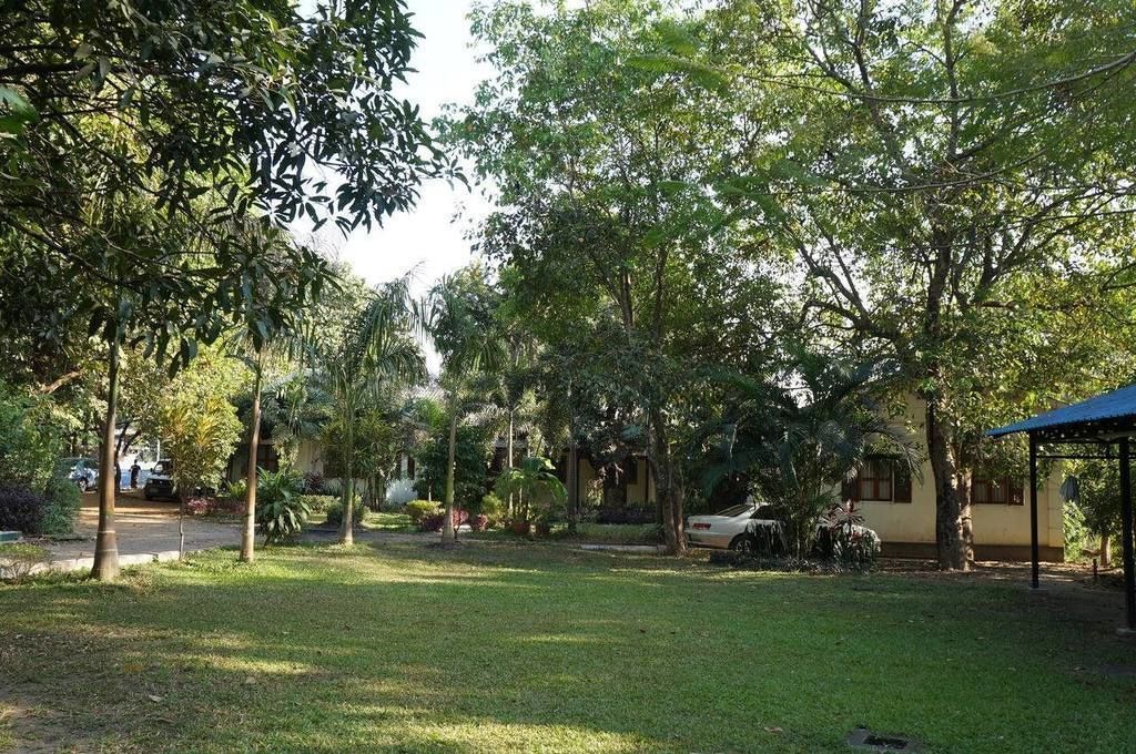 Um jardim exuberante com diversas árvores e um gazebo.