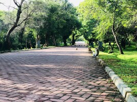 Terrenos do alojamento