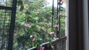 Varanda com grade de metal adornada com rosas vermelhas e cor-de-rosa.
