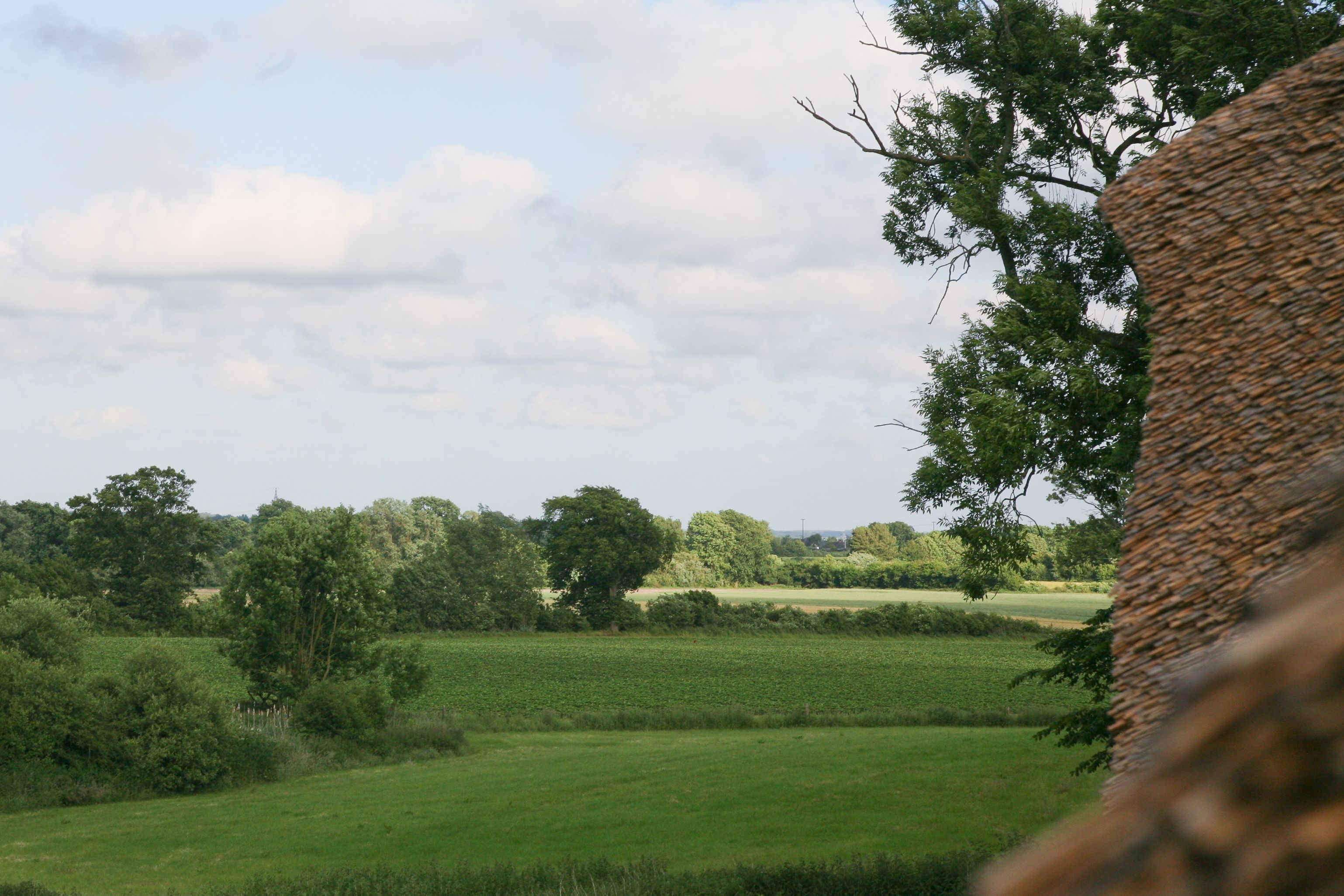 Paisagem rural com campos, árvores e céu claro.