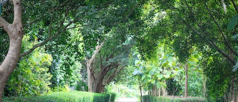 Vista da propriedade