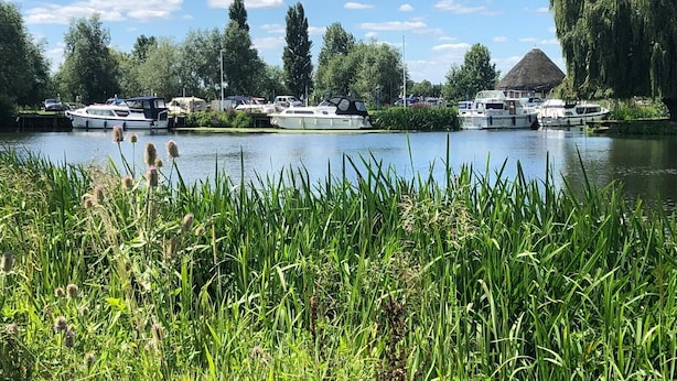 Um rio calmo com barcos atracados na margem, rodeado por vegetação exuberante e árvores.