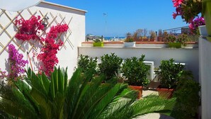 Um jardim no terraço com plantas em vasos e flores, uma parede branca e um céu azul claro.