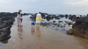 Uma praia rochosa com pessoas em pé e uma criança brincando.