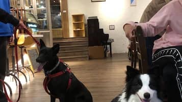 Aceita animais de estimação