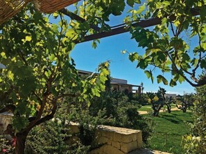 Jardim