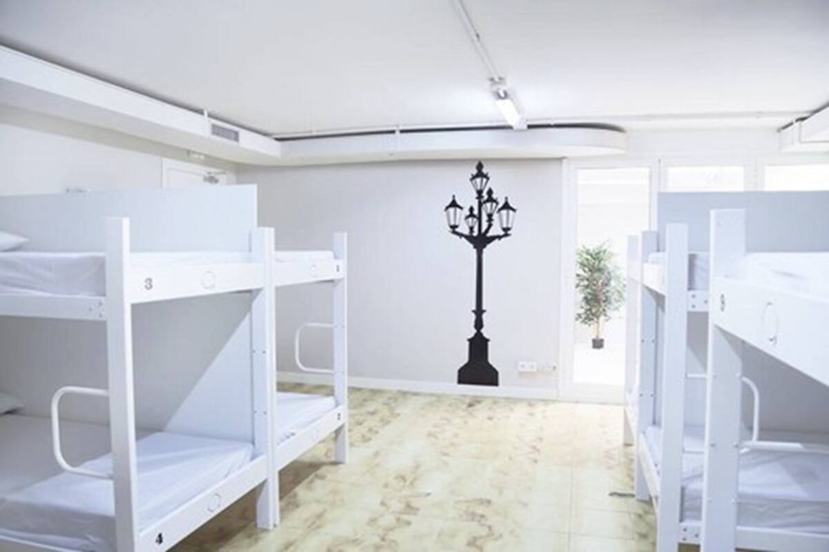 Um quarto com beliches, uma luminária na parede e um vaso de planta.