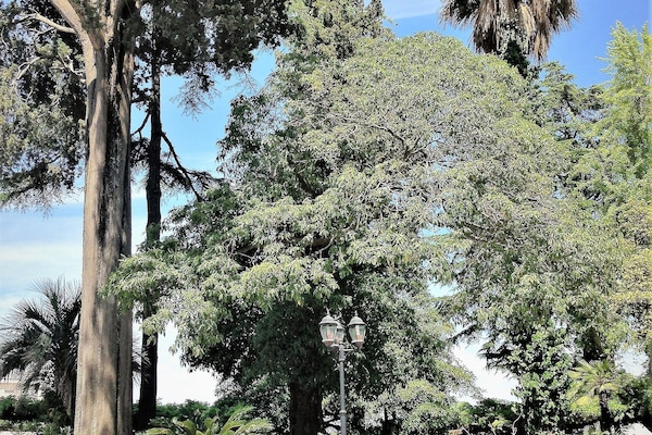 Piscina externa