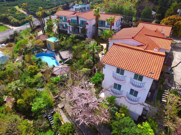 뷰티풀하우스 - 제주특별자치도