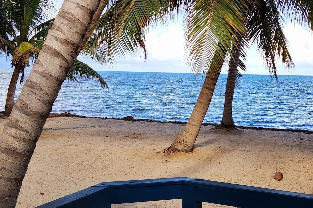 Uma praia com palmeiras e vista para o oceano.