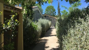 Um caminho estreito ladeado por vegetação densa e um edifício de pedra com telhado em telhas.
