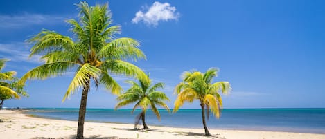 Condo, 3 quartos | Praia