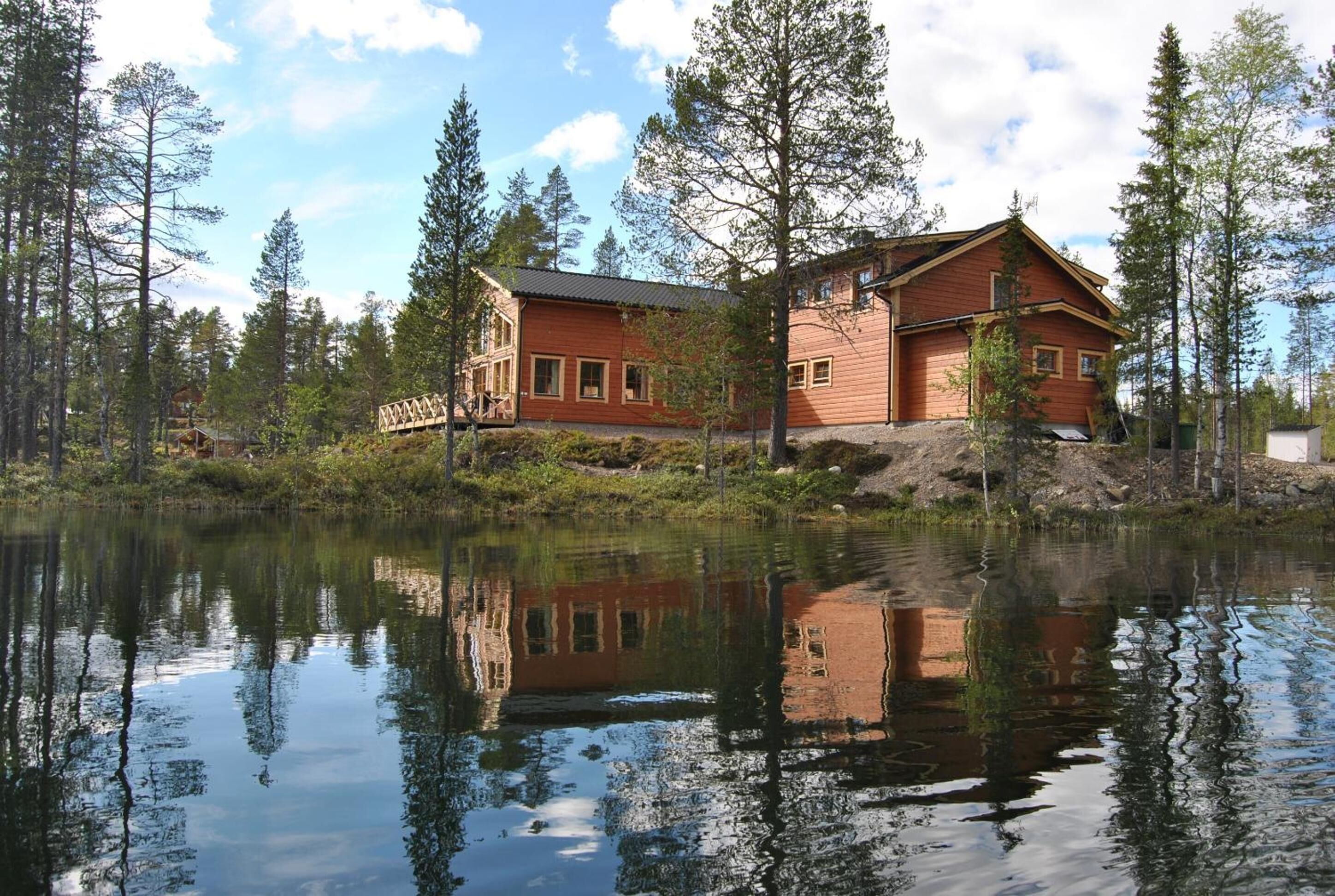 pine tree lodge