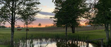 Paisagem tranquila com lago, árvores e um pôr do sol ao fundo.