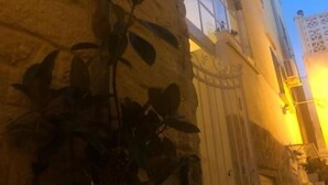 Um edifício de pedra com janelas amplas e uma porta, rodeado por plantas.