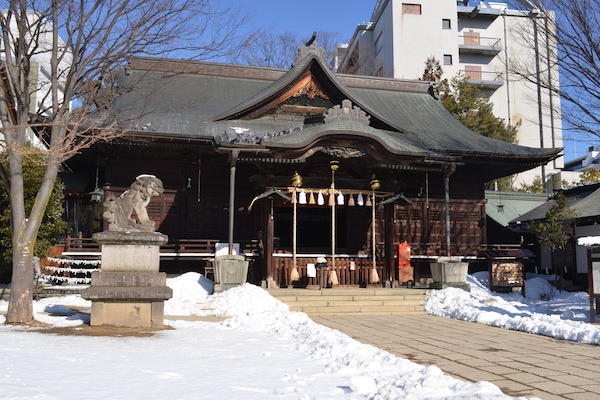 Vista da propriedade