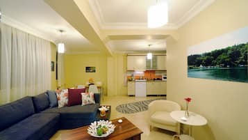 Apartamento Familiar, 1 cama king-size e sofá-cama, cozinha, Vista para a cidade | Sala de estar | Televisor de ecrã plano de 43 polegadas com canais via satélite