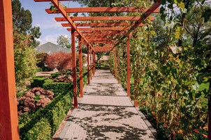 Um caminho no jardim com uma estrutura de pérgula, rodeado por vegetação exuberante e plantas floridas.