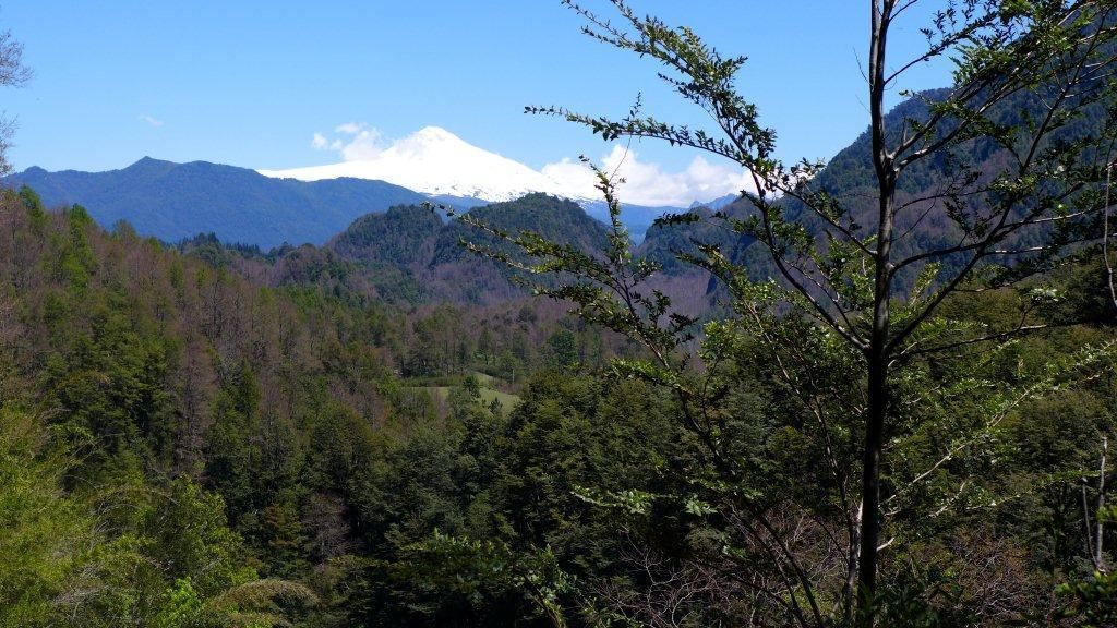 Paisagem montanhosa com floresta densa e céu limpo.
