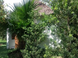 Bangalô econômico, 1 cama de casal, vista para o jardim