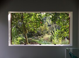 Janela com vista para um jardim exuberante, com diversas plantas e árvores.