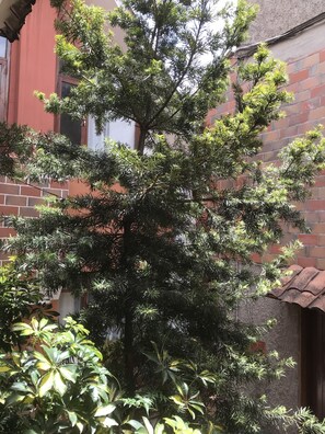 Apartamento urbano, 2 quartos | Vista para o jardim