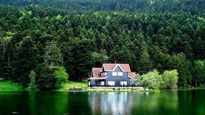 Uma casa à beira de um lago, rodeada por uma floresta densa.