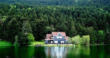 Uma casa à beira de um lago, rodeada por uma floresta densa.